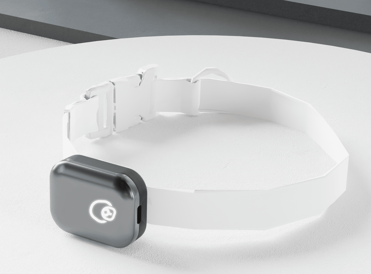 Queva - Pet Health & Behavior Tracking Technology : Buy Yours Now