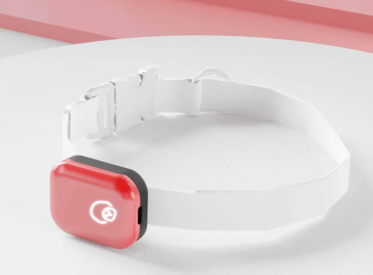 Queva - Pet Health & Behavior Tracking Technology : Buy Yours Now